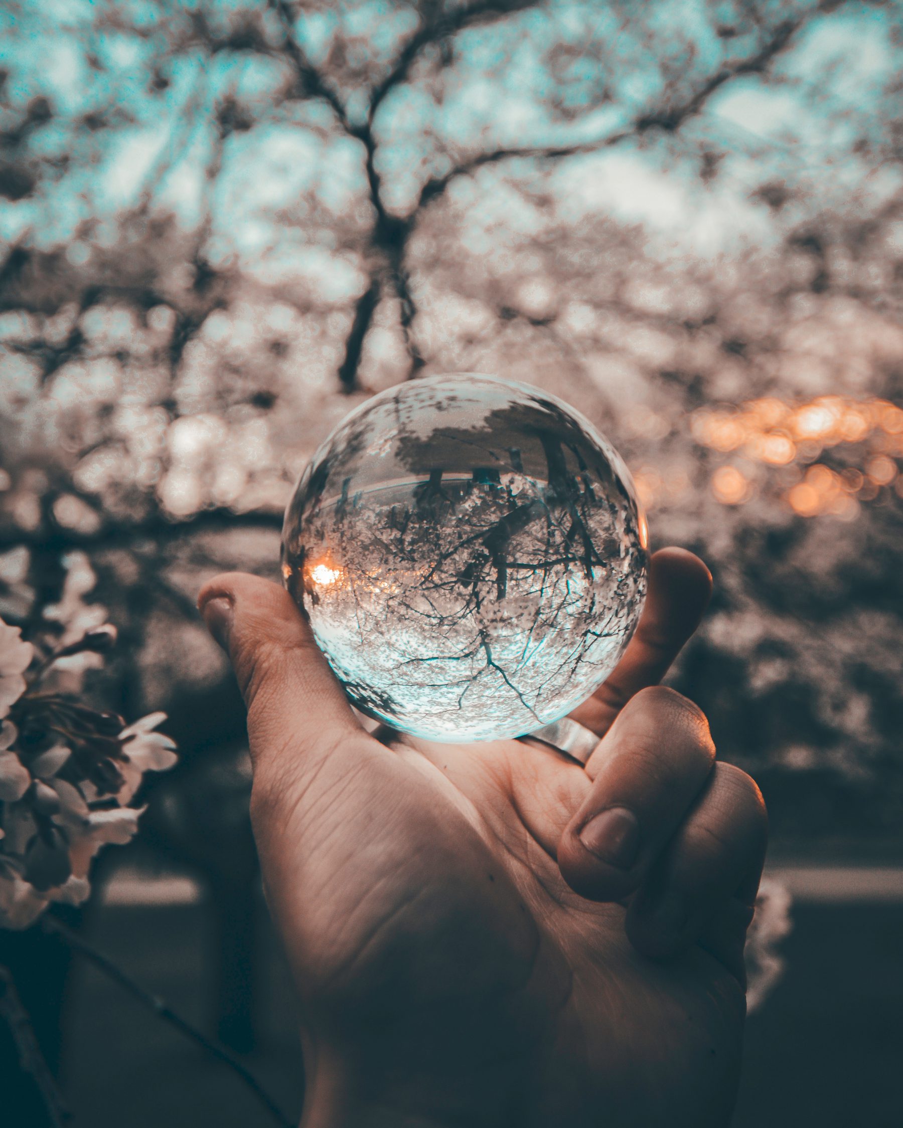 Check out what we were up to in 2014! - Consumer Protection BC