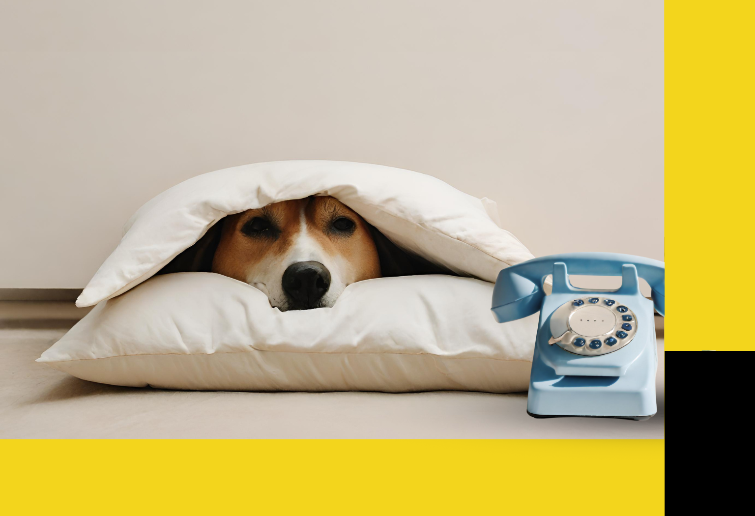 How to get the calls to stop - Consumer Protection BC