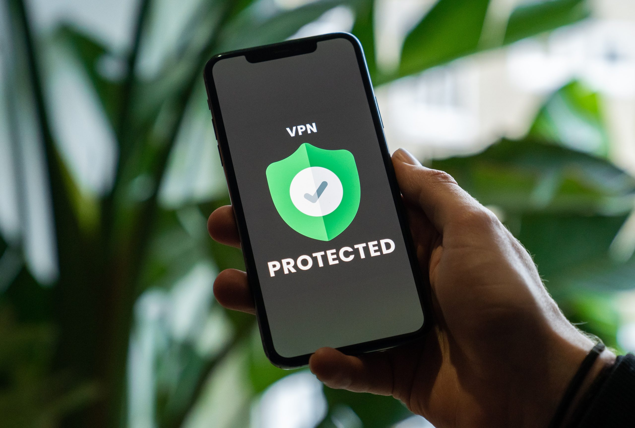 VPNs: What are they and how do they protect your data?