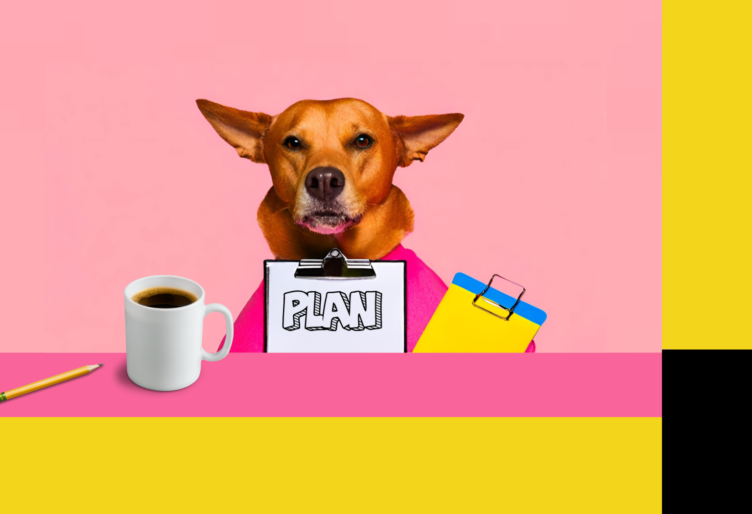 How to make a plan to manage your debt - Consumer Protection BC